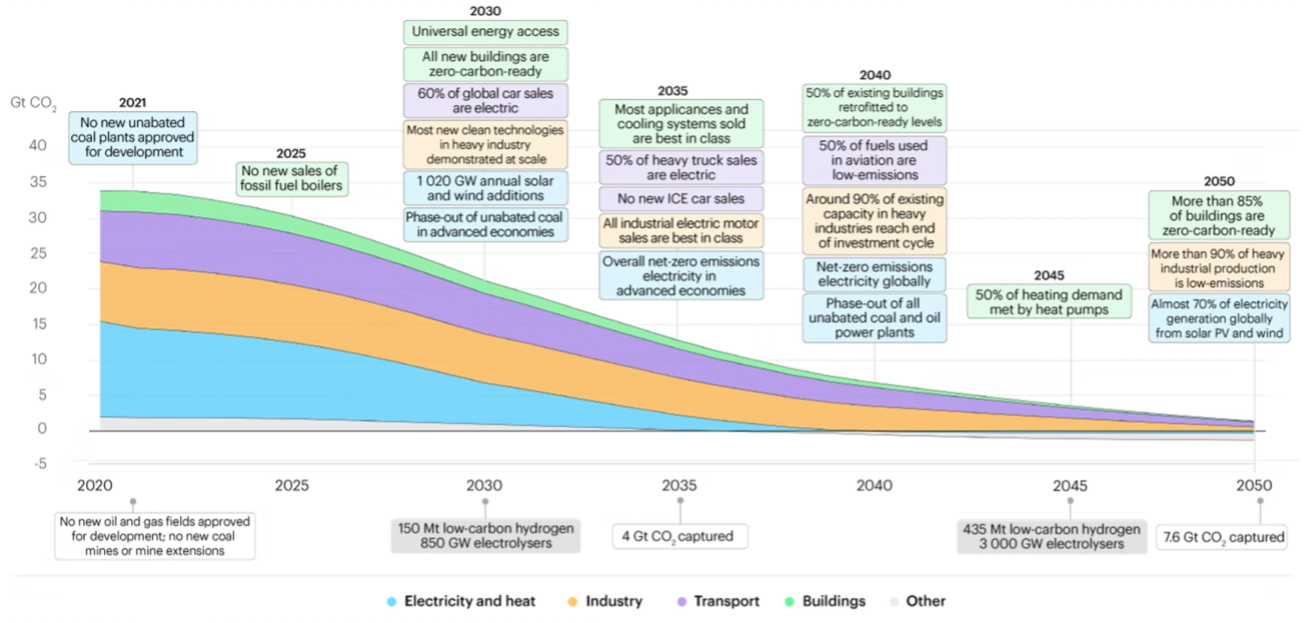 Net-zero path 2050 and the role of energy storage - Build to Zero